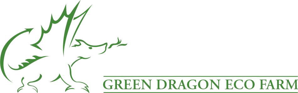 Talkback - Working with Talkback