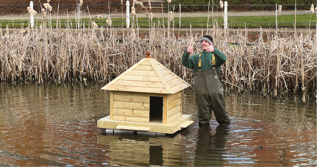 Accessible Workshop builds new duck house for Walton Pond - Talkback