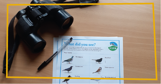 Back to Nature Group goes bird spotting - Talkback